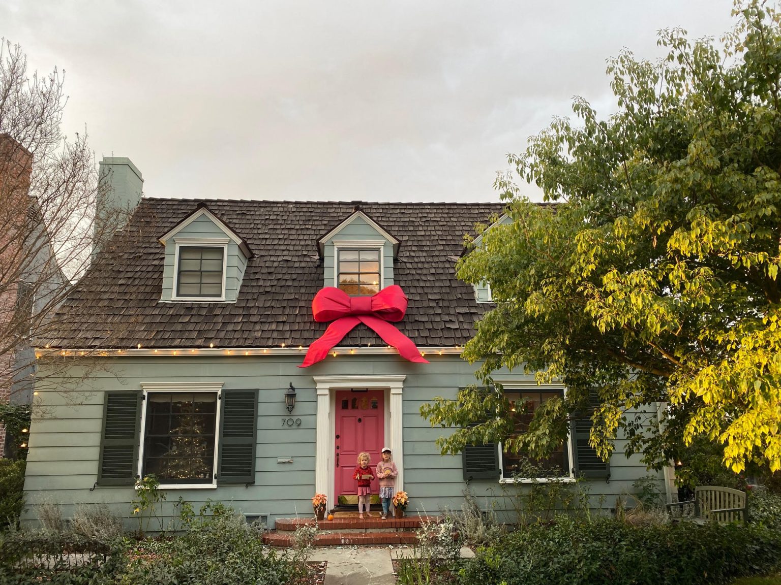 Giant Bows for Houses