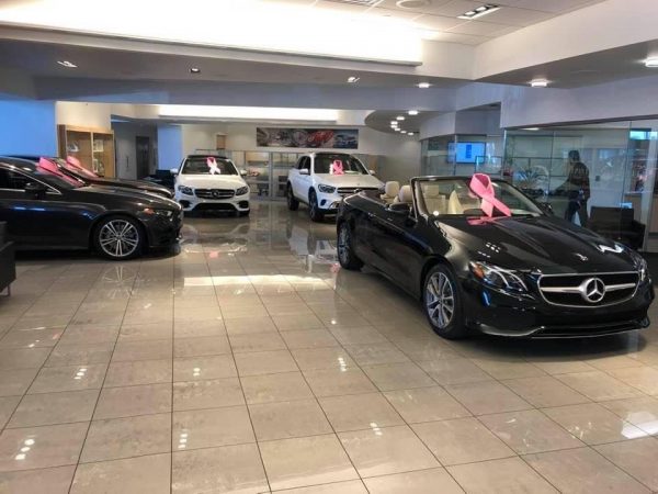 Car Bows – King Size Bows